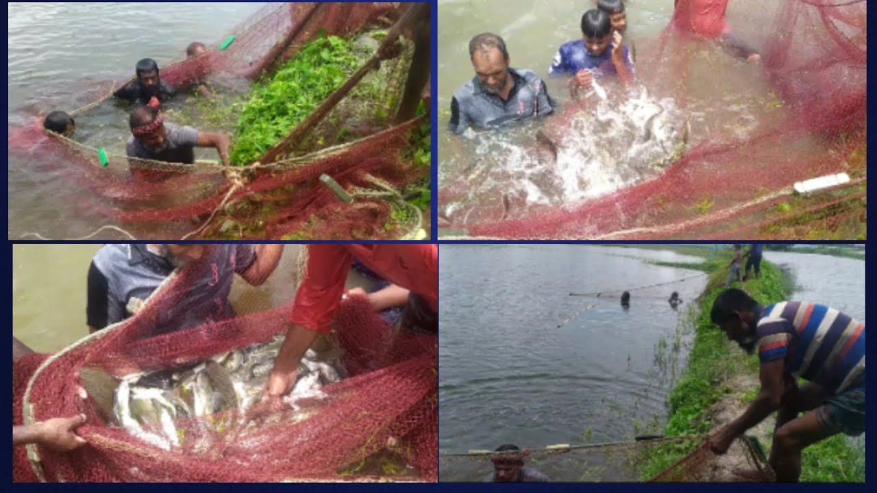 fishing Fish video amazing fish video - YouTube