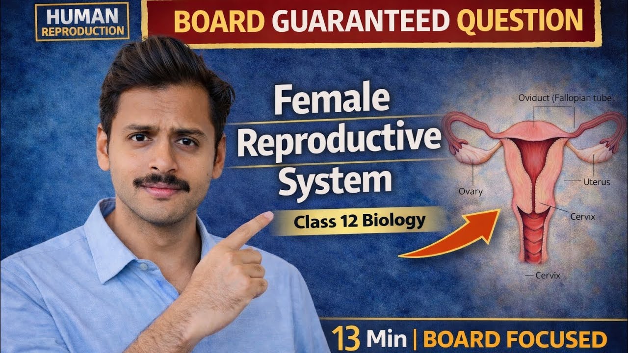 Female Reproductive System | Board Guaranteed Question | Class 12 ...