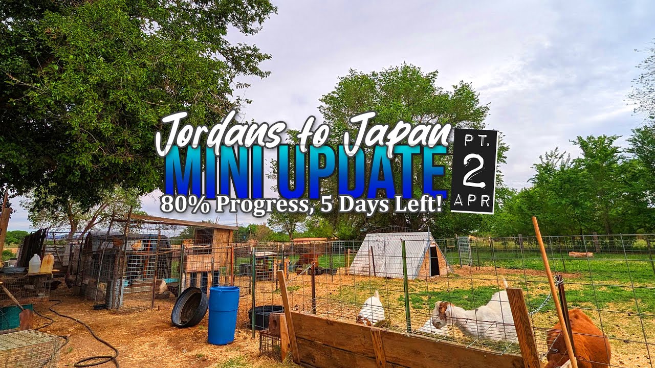 April Mini Update: 80% Progress, 5 Days Left! - YouTube