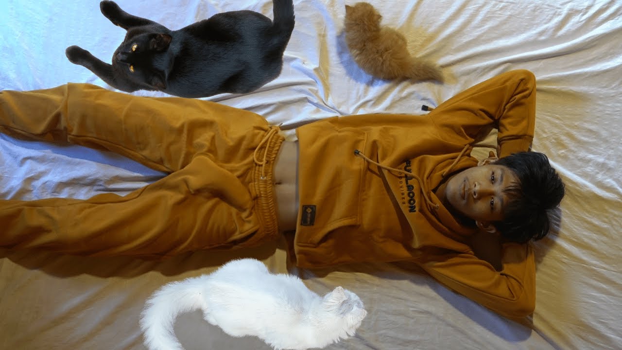 khabut play with new cat - YouTube