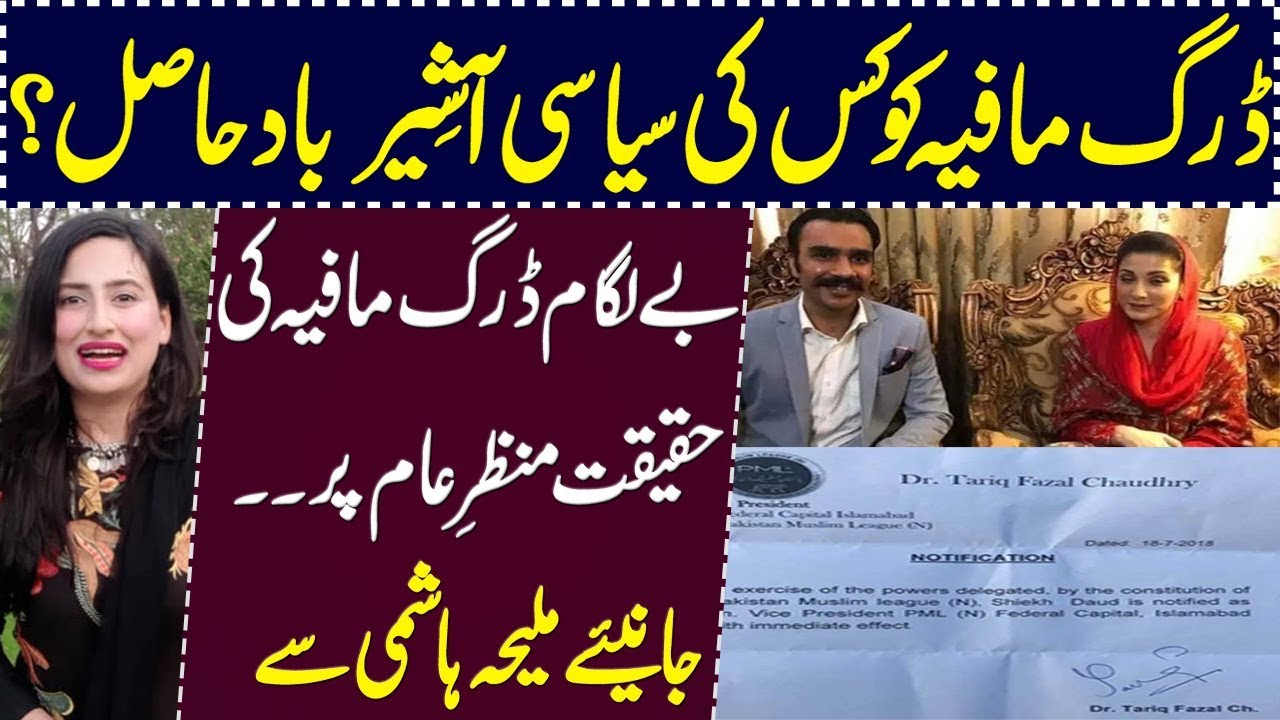 Who is Behind Drug Mafia in Pakistan? Maleeha Hashmey - YouTube