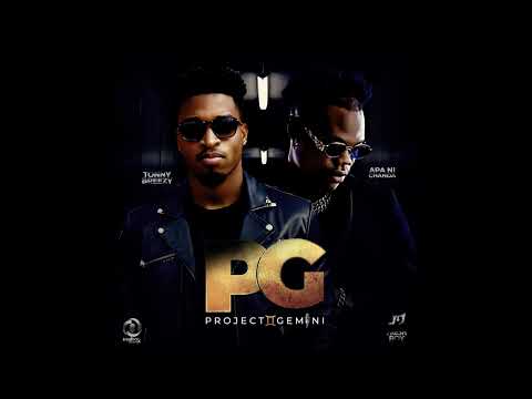 Project Gemini
