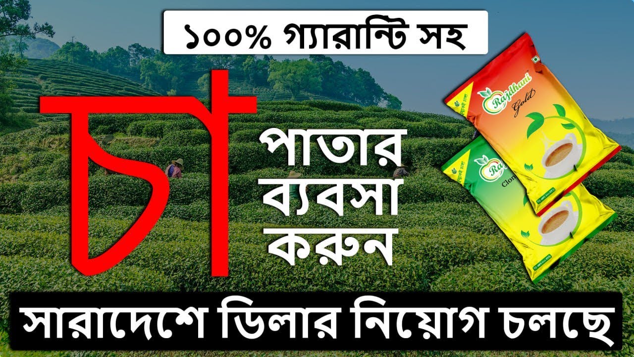 যে ৬ টি ধাপ ফলো করলে চা পাতার বিজনেসে সফল হবেনই । Start Tea Business ...
