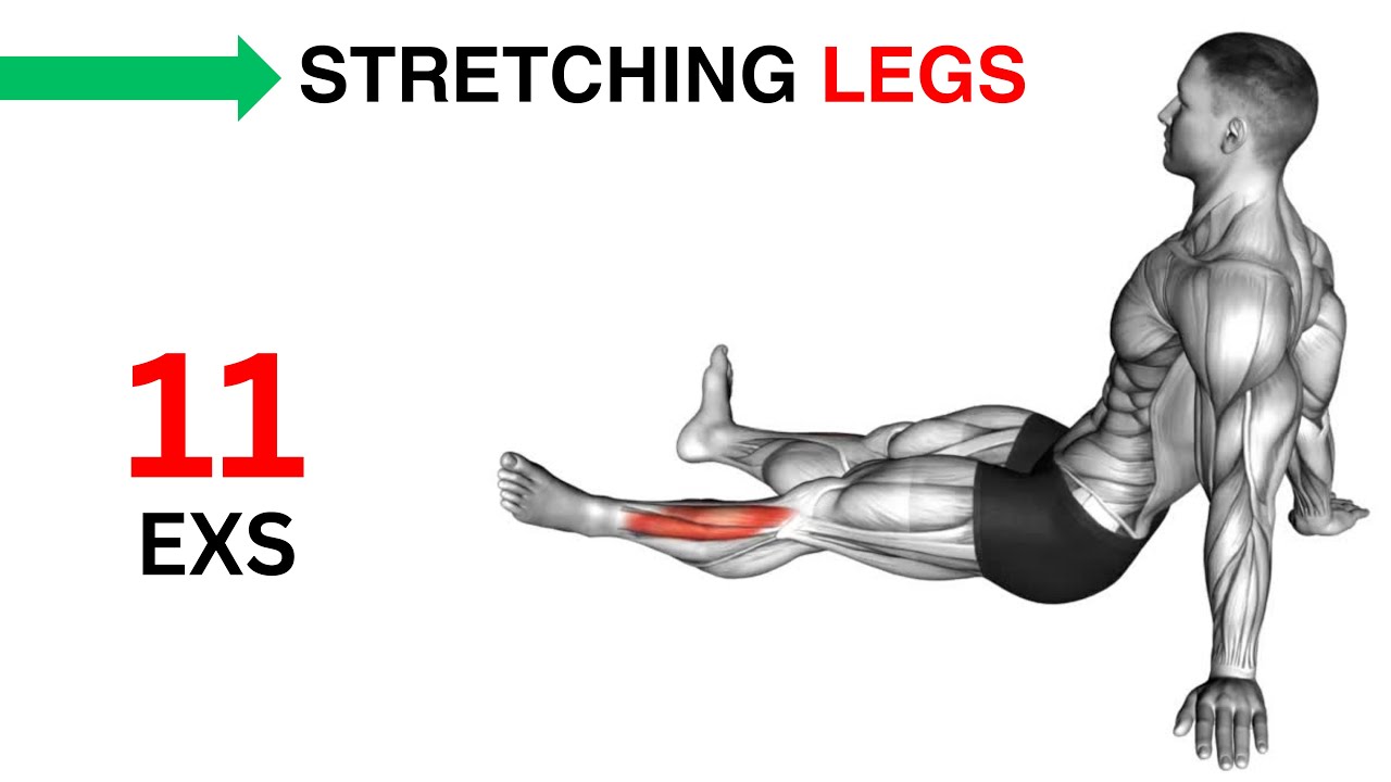 "11 Essential Leg Stretching Exercises for Beginners" - YouTube