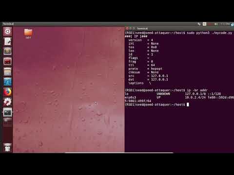 Packet Sniffing with Scapy: SEED Labs - Packet Sniffing and Spoofing Lab (Task 1.1A) - YouTube
