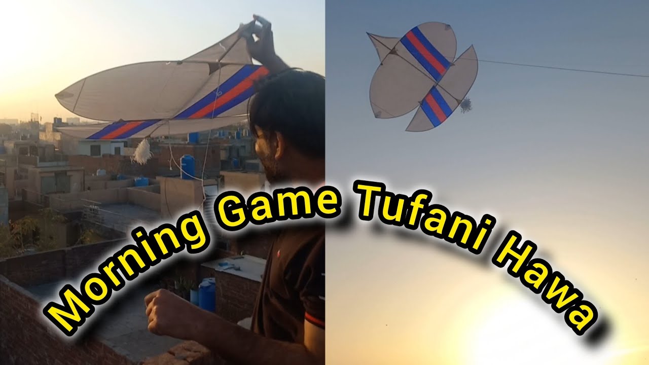 Moring Patang Game Looting kites from Roof top Basant 2024 Kite Flying ...