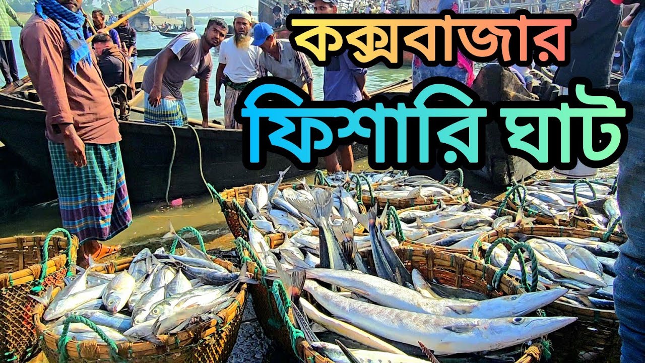 সামুদ্রিক মাছের বিশাল বাজার কক্সবাজার ফিশারি ঘাট। Fishari ghat Cox’s ...