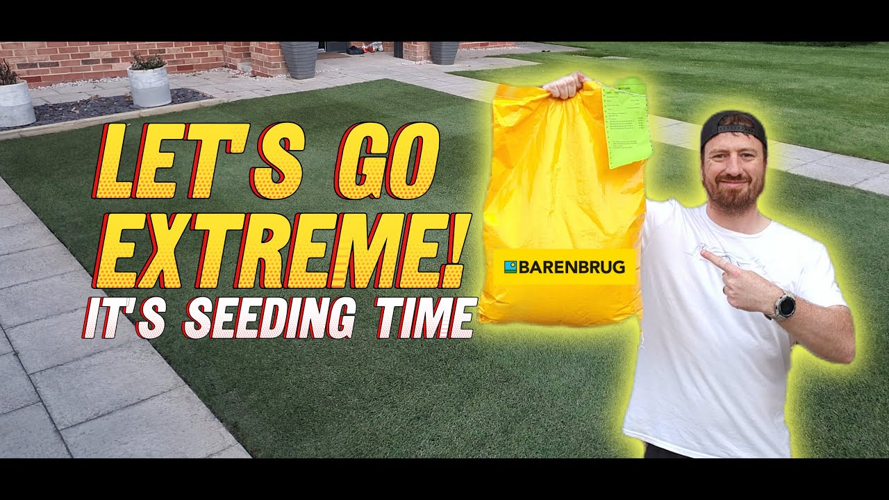 How to Seed A New Lawn // Why Use Jack's Magic as Topdressing ...