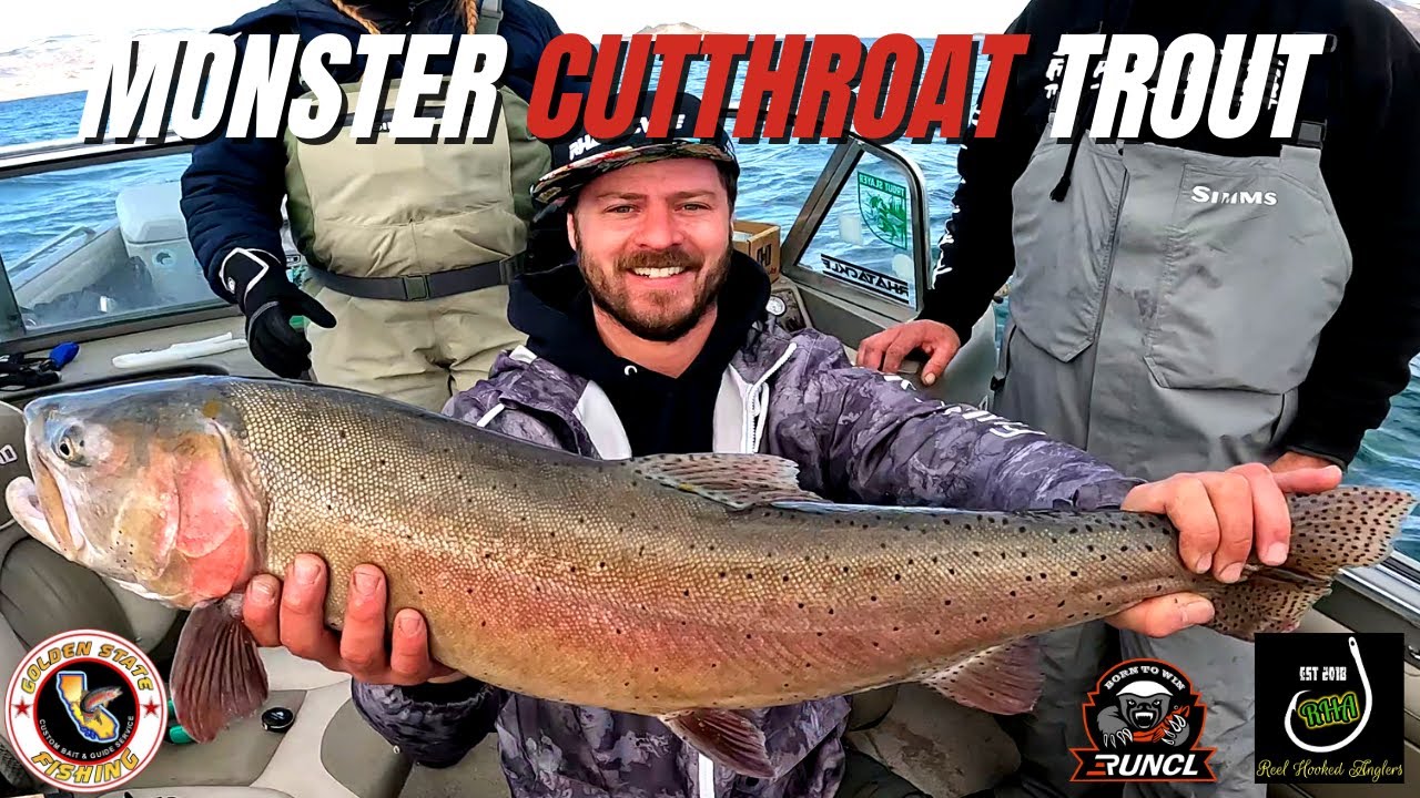 Trout Fishing: Chasing Monster Lahontan Cutthroat Trout at Pyramid Lake ...