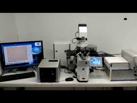 Zeiss PALM MicroBeam LCM Laser Dissection System / AXIO Observer ...