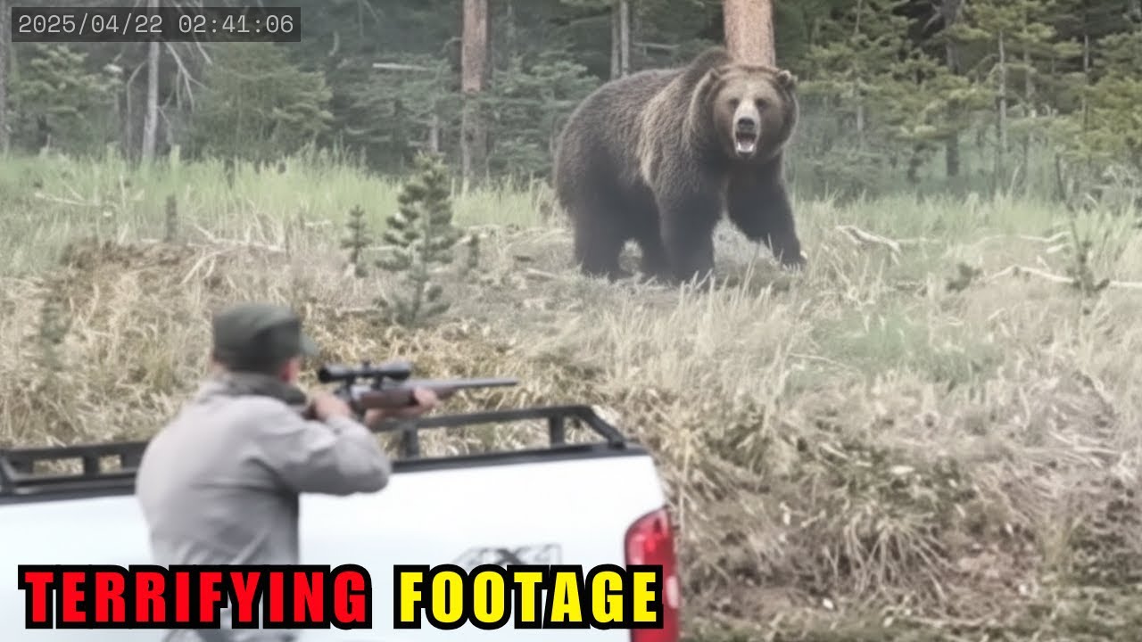 28 MOST DISTURBING Hunting Encounters Caught on Camera - YouTube