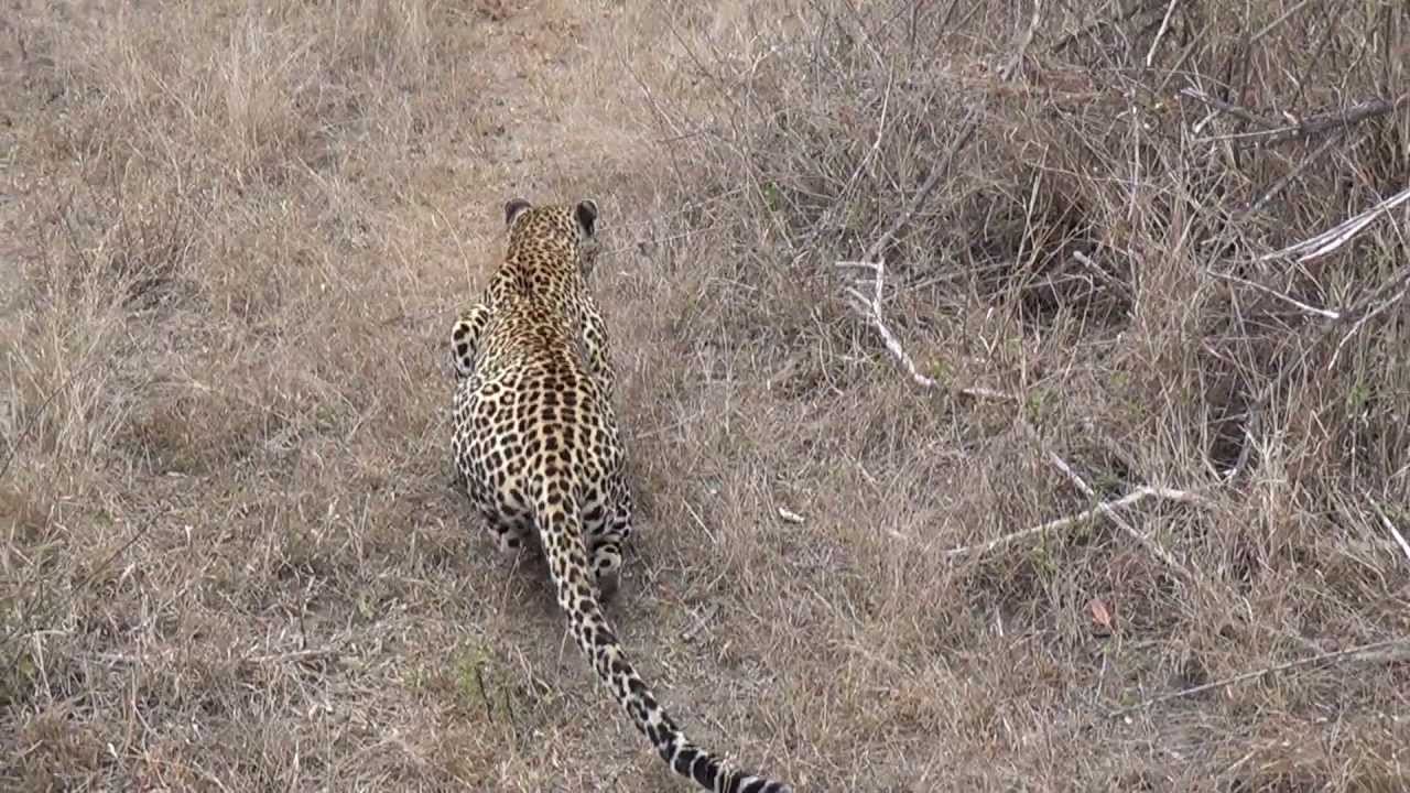 Close call! - YouTube