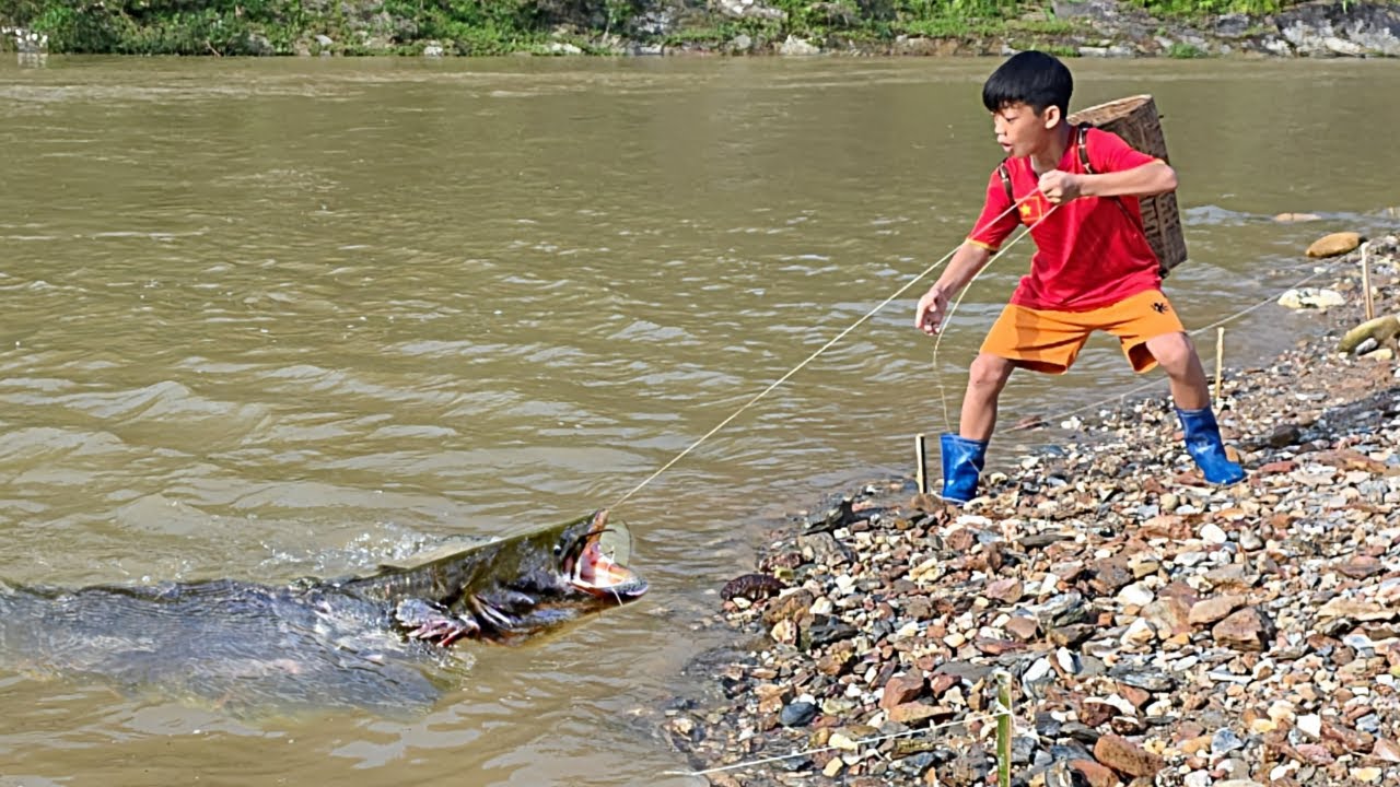 The story of the wandering boy named Bac and his spectacular journey ...