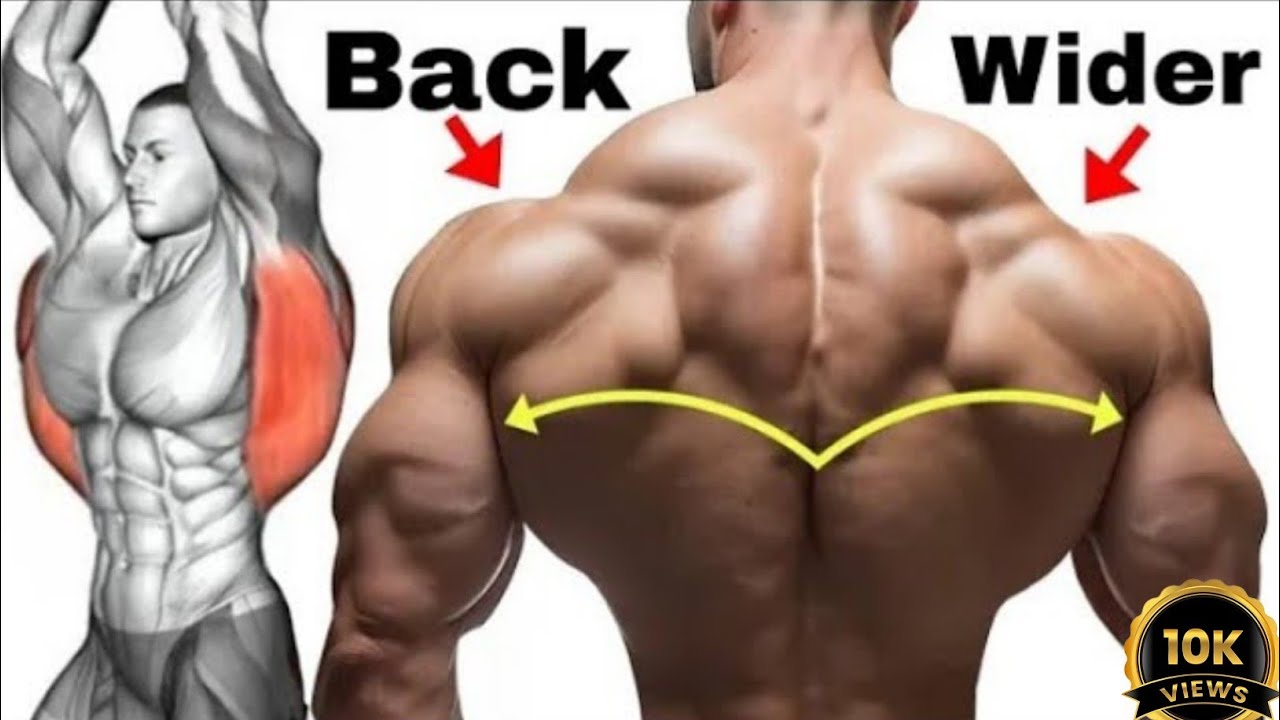 The Most Effective Science Based Back Workout🔥 - YouTube