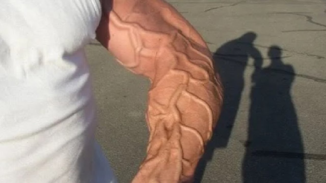 how to get veiny arms the most intense exercises ever - YouTube