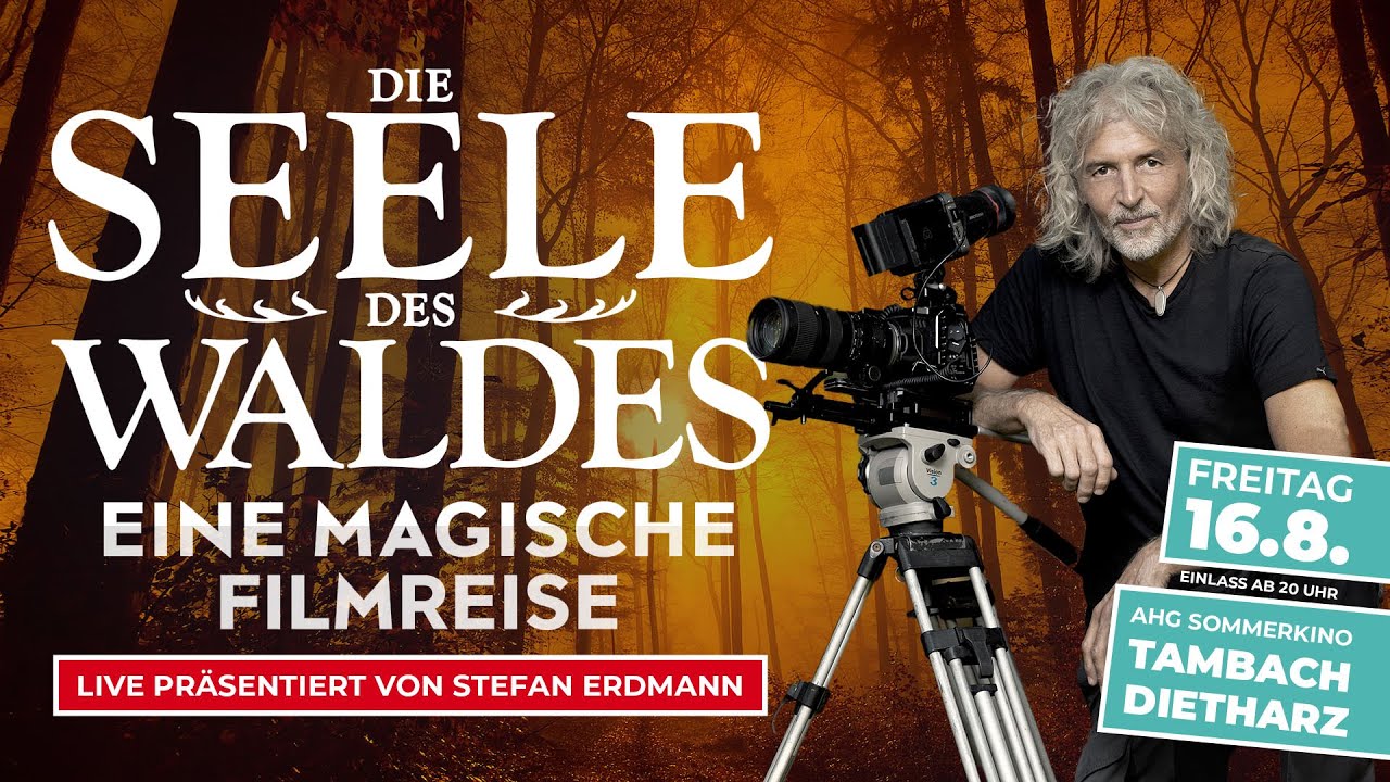 Morlenbach Mehr Als Nur Ein Name Entdecke Die Seele Des Odenwaldsfeed