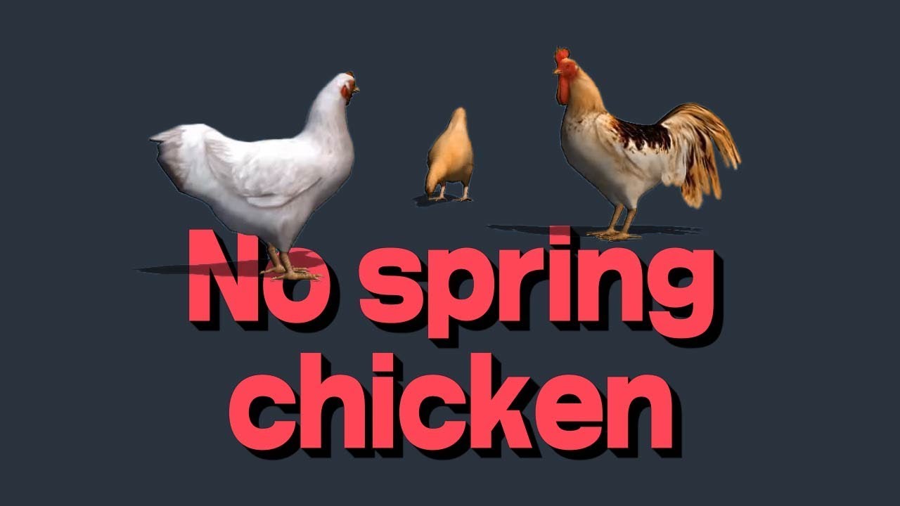 No spring chicken - 전성기가 지난 사람 - YouTube