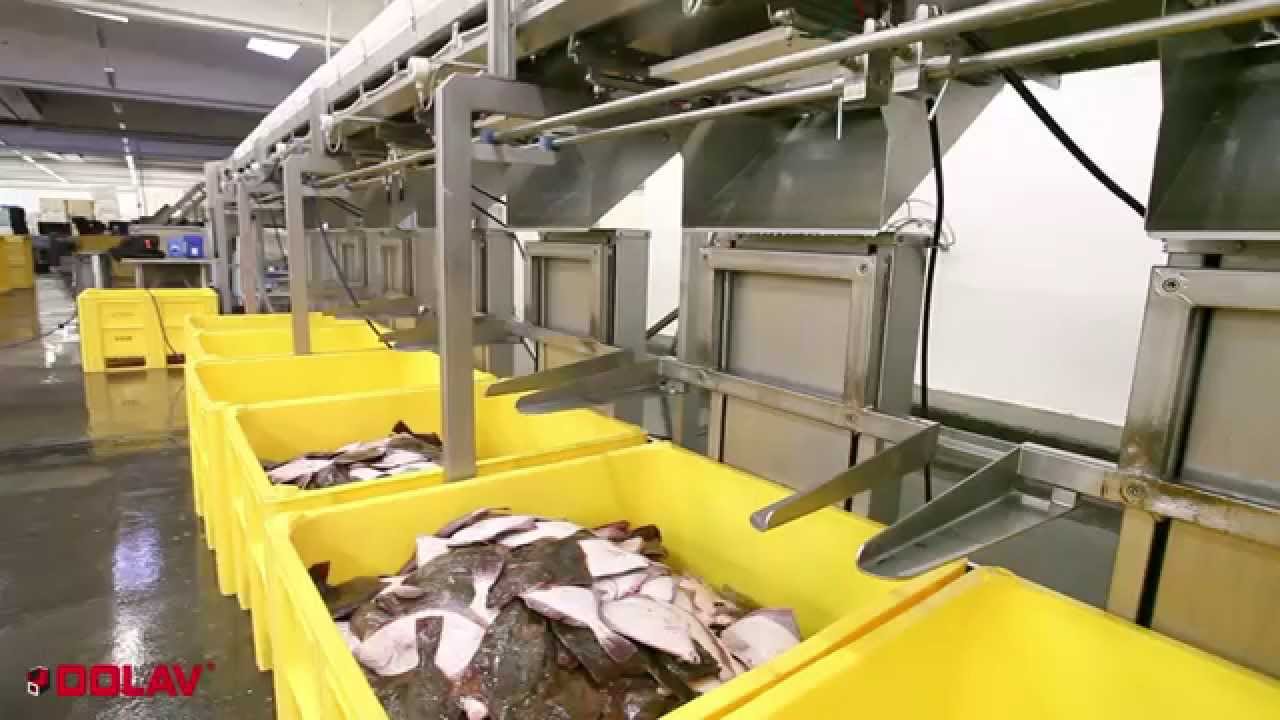 More payload, less weight and cost with Dolav Ace - YouTube