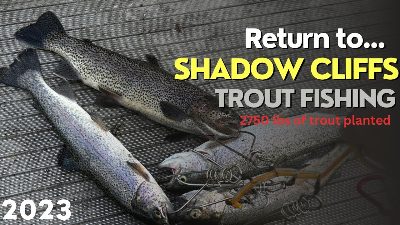 Return to SHADOW CLIFFS. FISHING for TROUT (2023) - YouTube