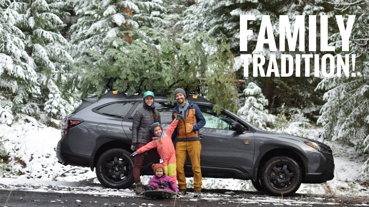 Our Annual National Forest Christmas Tree Hunt! - YouTube