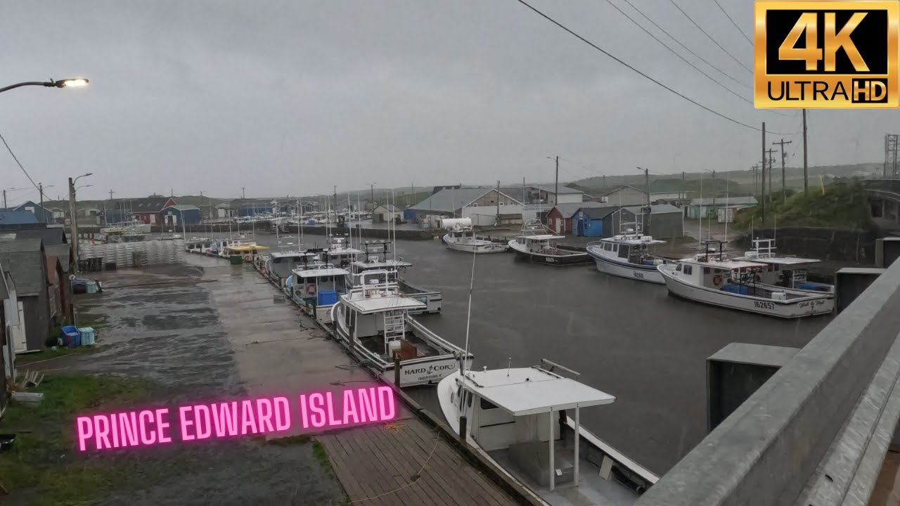 4K | Rain Storm | Oceanfront | Loop video | Prince Edward Island #rain #ocean #relaxing # ...