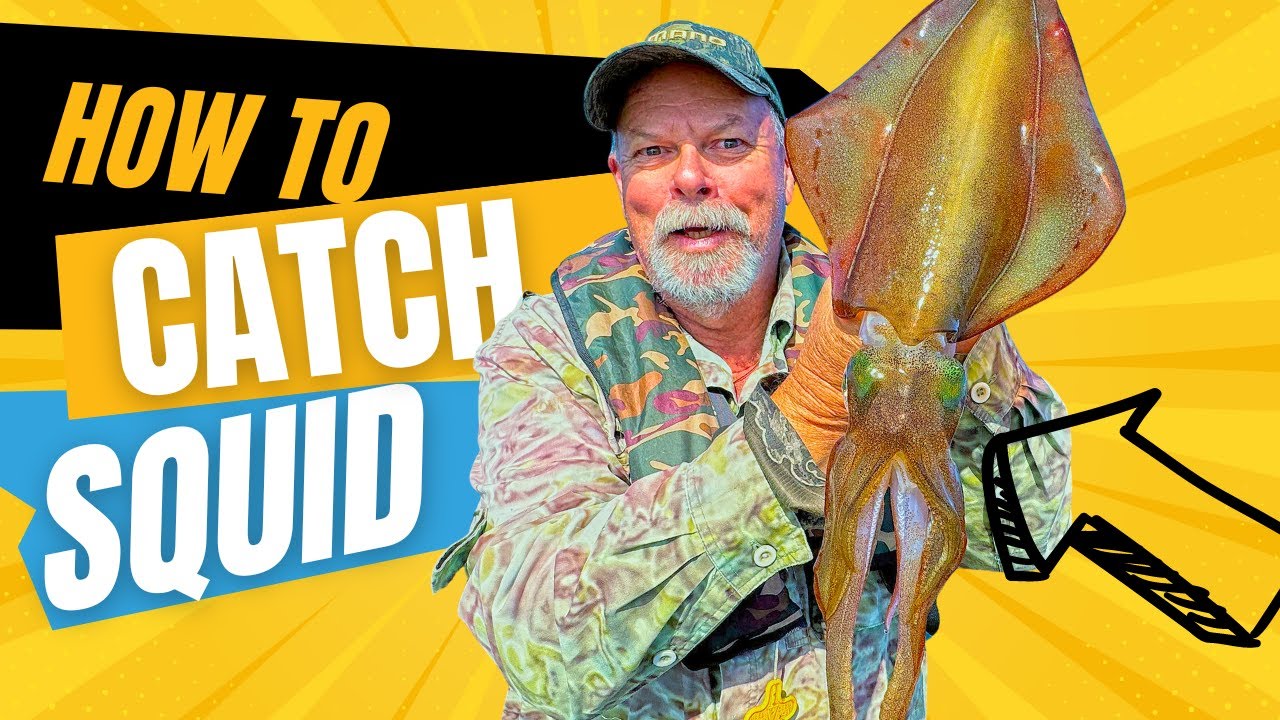 Seven Deadly SECRETS For Catching Squid! - YouTube
