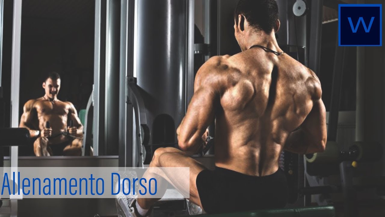 Allenamento Dorso | Tutto quello che devi sapere - YouTube