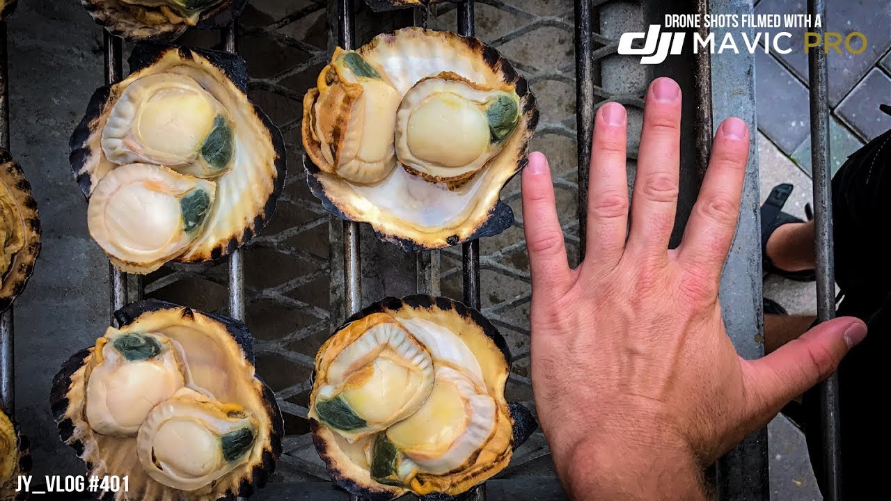 CYCLING JAPAN | GIANT SCALLOPS, FOREST RIDES and ACCIDENTS - YouTube