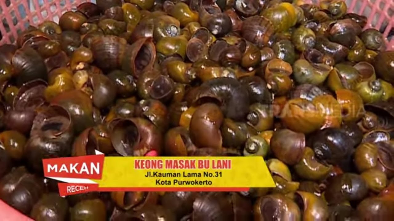 Dani Izone Nyicipin Nikmatnya Keong Masak Bu Lani | MAKAN RECEH (05/12/23) - YouTube