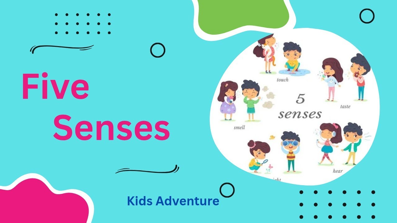 Learn the Five Senses – Fun Learning for Kids! 👀👅🤲👃👂 #KidsVideo # ...