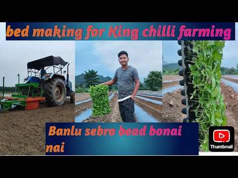 Bed Making For King Chilli Raja Marcha Bahut Jola Banlu Sebro Ni Gai ...