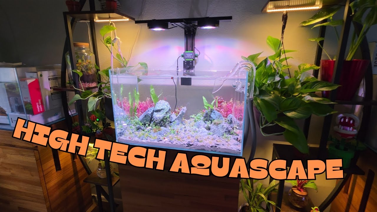 Creating A High Tech Aquascape - Tutorial/How to! - YouTube