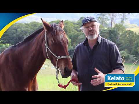 Strategies to combat ESGD and EGGD with A/Prof Dr Ben Sykes (Episode ...