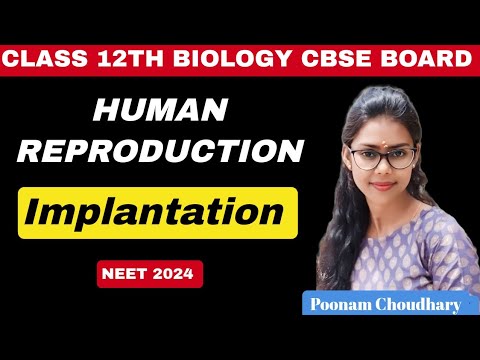 Implantation || Human reproduction || Class 12 biology || NEET 2024 ...