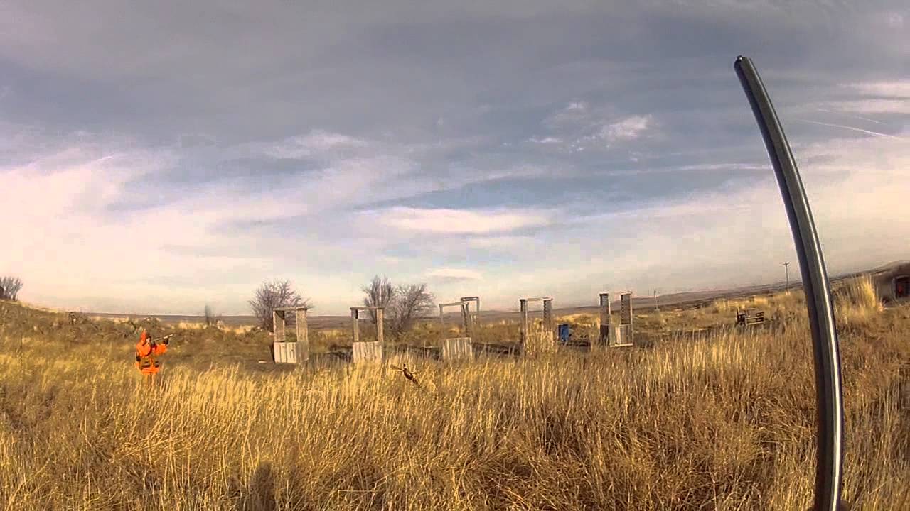 Miller Ranch-Washtucna - YouTube