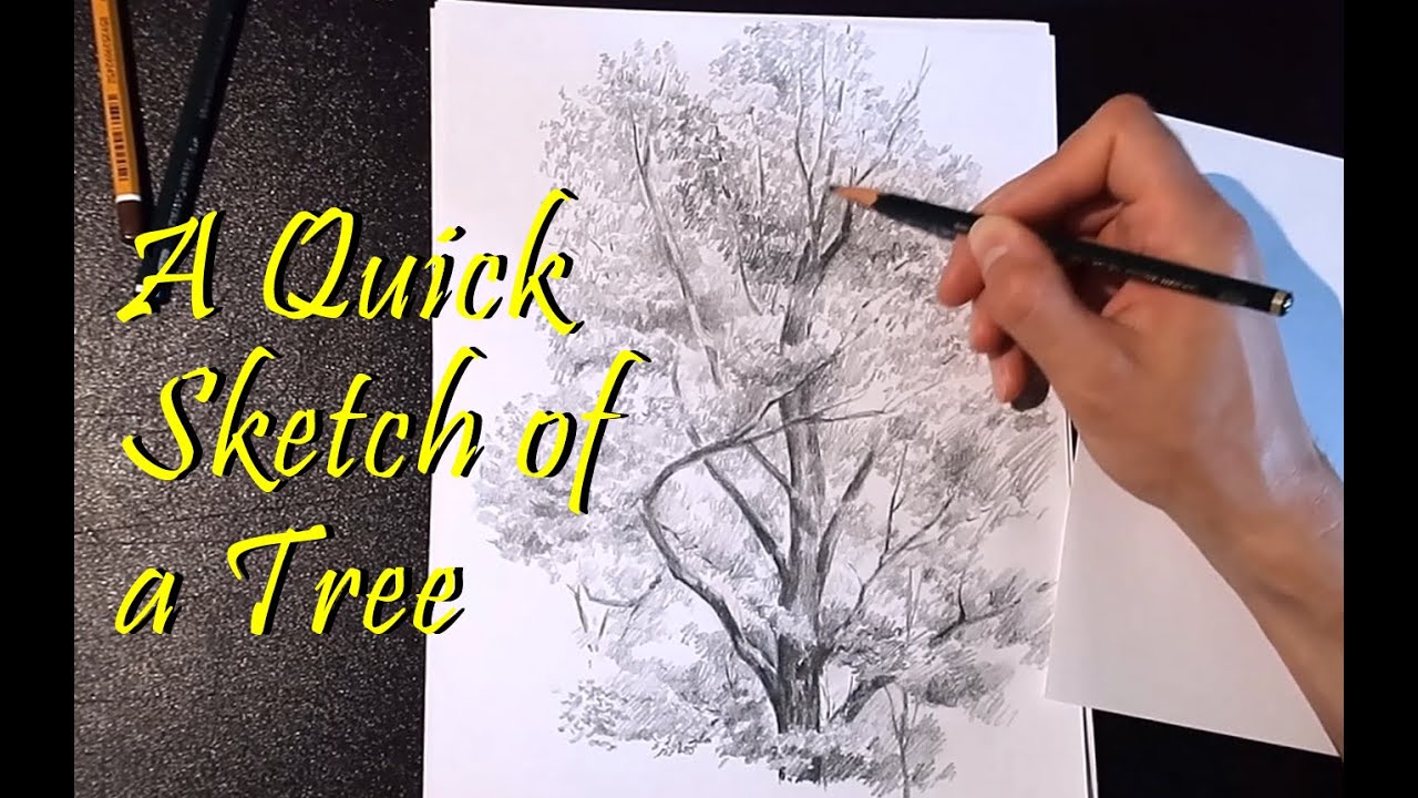 A Quick Sketch of a Tree | space3art4 - YouTube