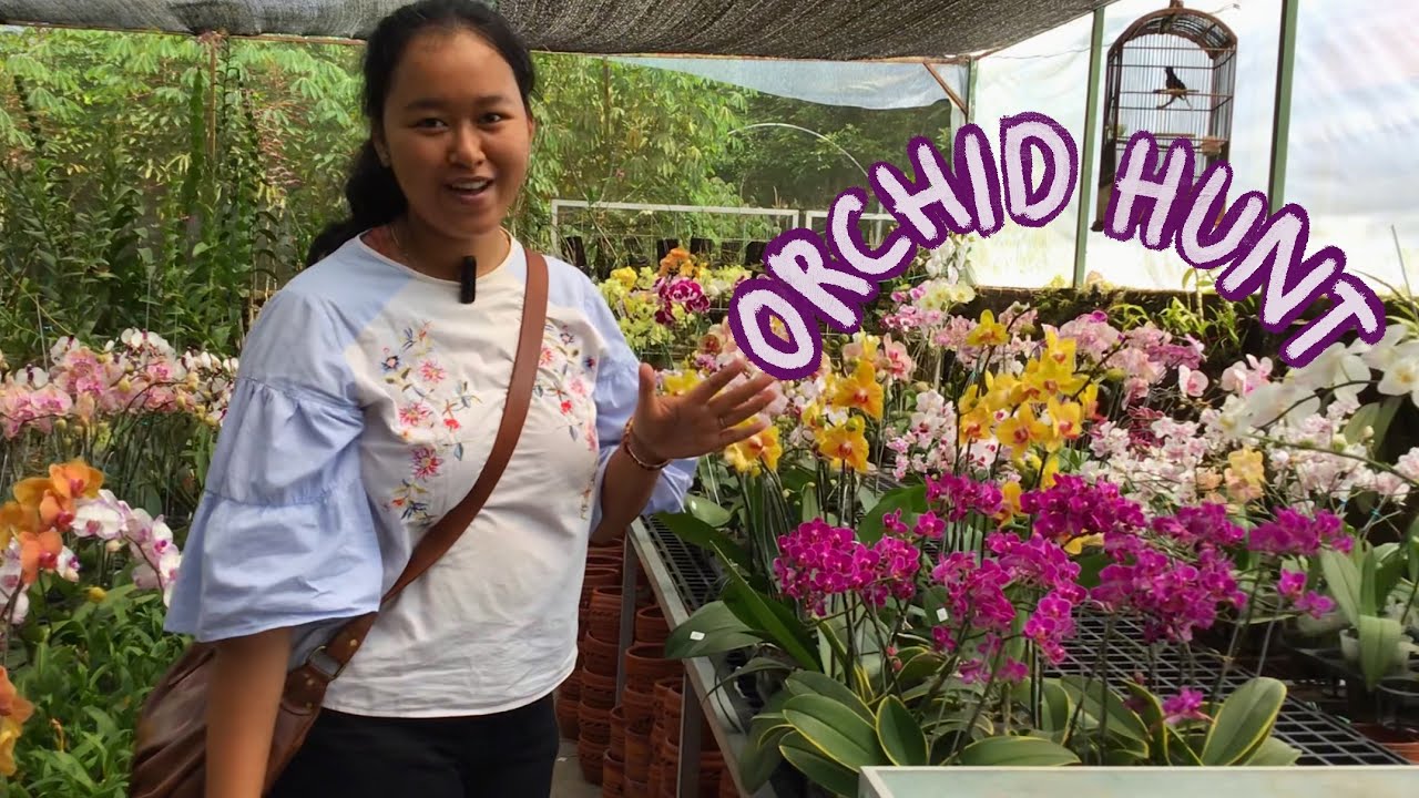 Orchid Hunter | Mencari Anggrek di Kota Blitar 🌿🍃 - YouTube