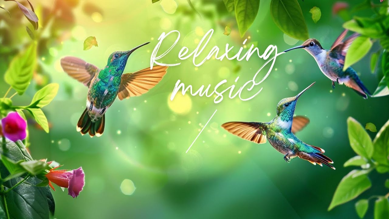 "Relaxing Music with Hummingbirds for Relaxation, and Happiness Boost ...