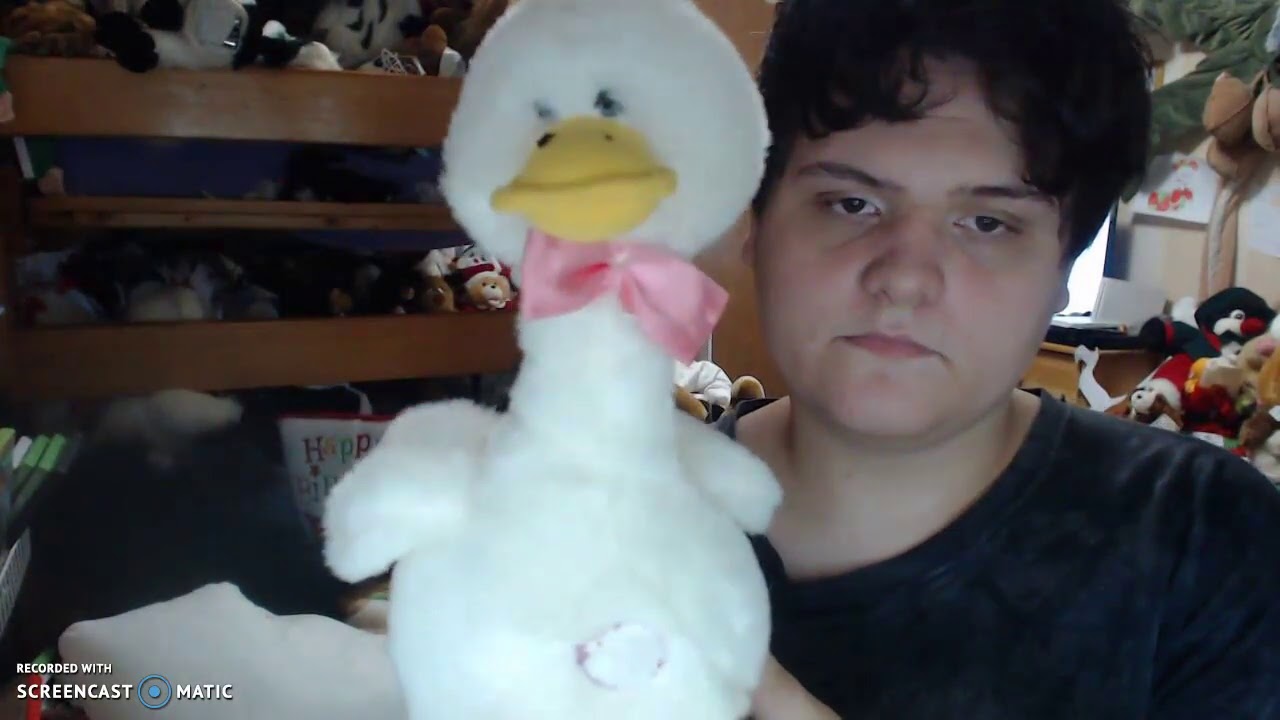 dan dee shaking ducks - YouTube