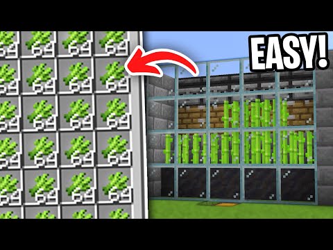 Sugarcane Farm Minecraft 1.21! [JAVA & BEDROCK]