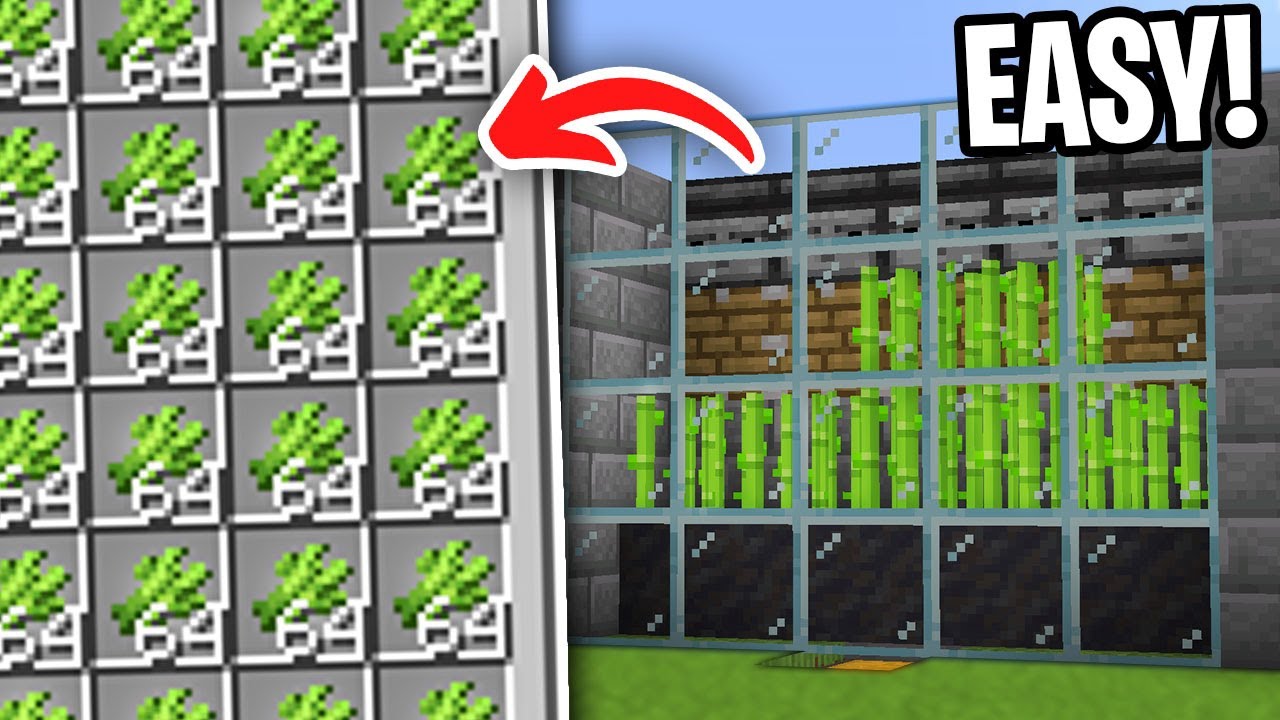 Sugarcane Farm Minecraft 1.21! [JAVA & BEDROCK] - YouTube