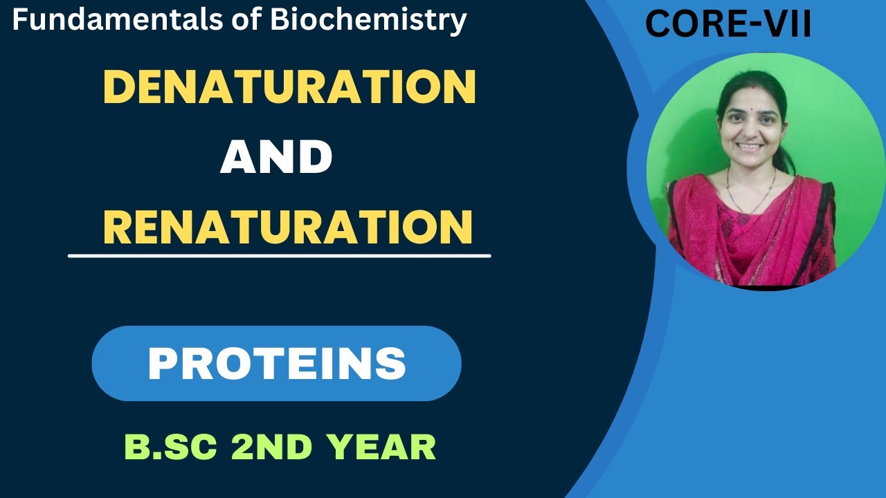 Denaturation And Renaturation of Protein B.Sc 2nd Year||Denaturing ...
