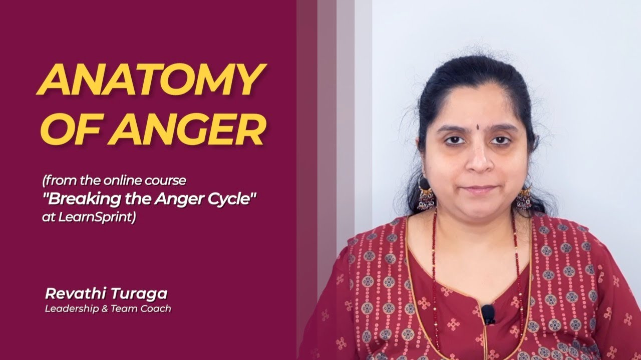 Anatomy of Anger - YouTube