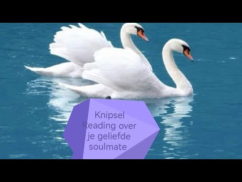 knipsel Reading over je geliefde soulmate - YouTube