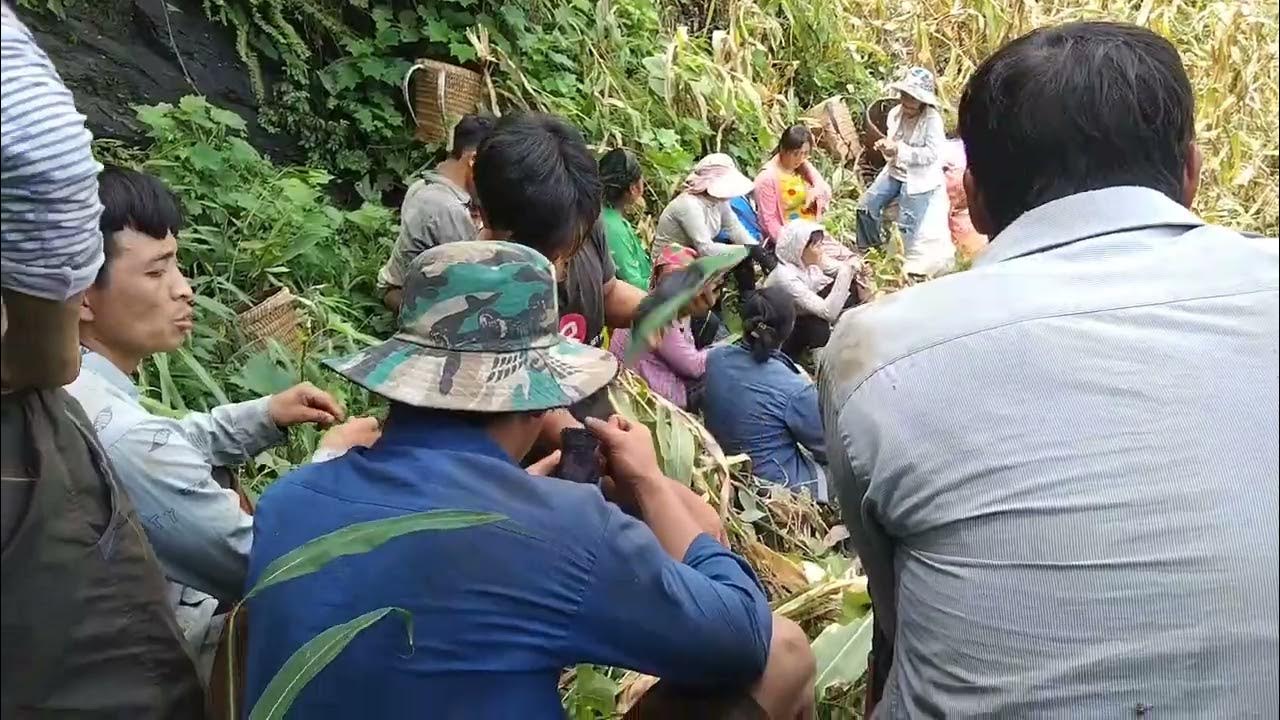 mus nrog niam tais ntais pob kws - YouTube