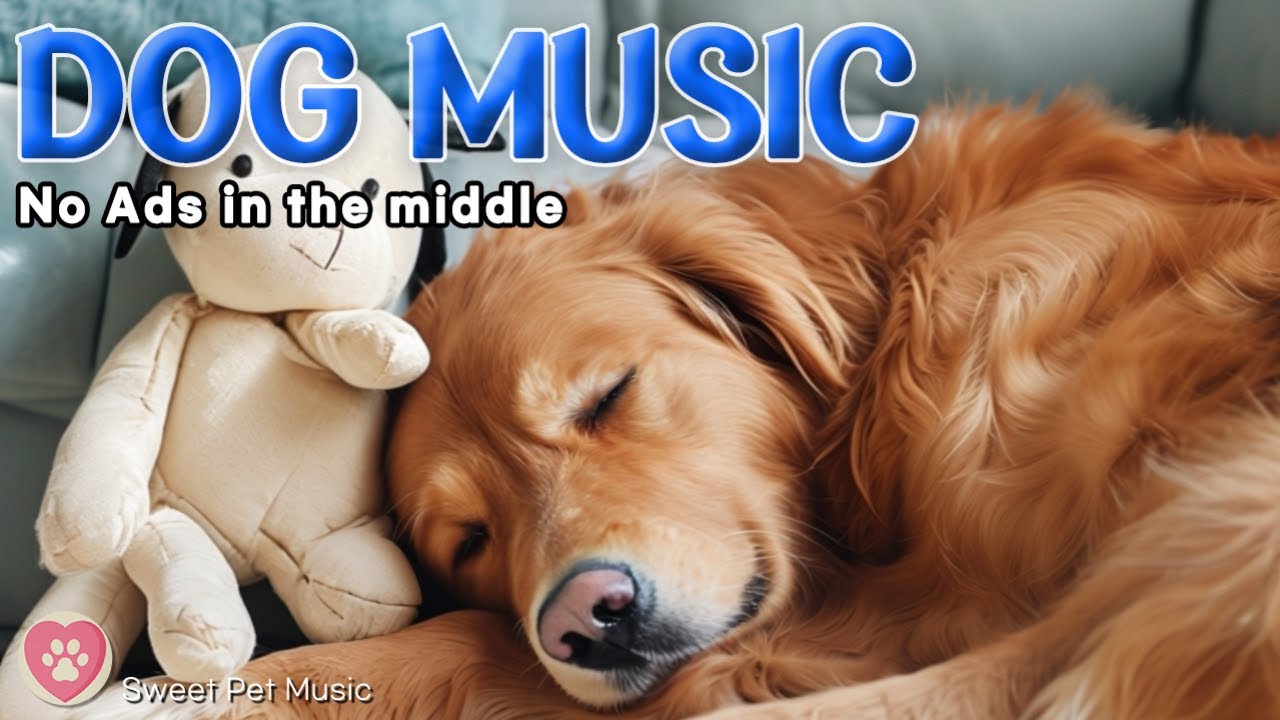 20 Hours of Calming Dog Music🦮💖Gentle Music for Dogs Left Alone🎵🦮 ...