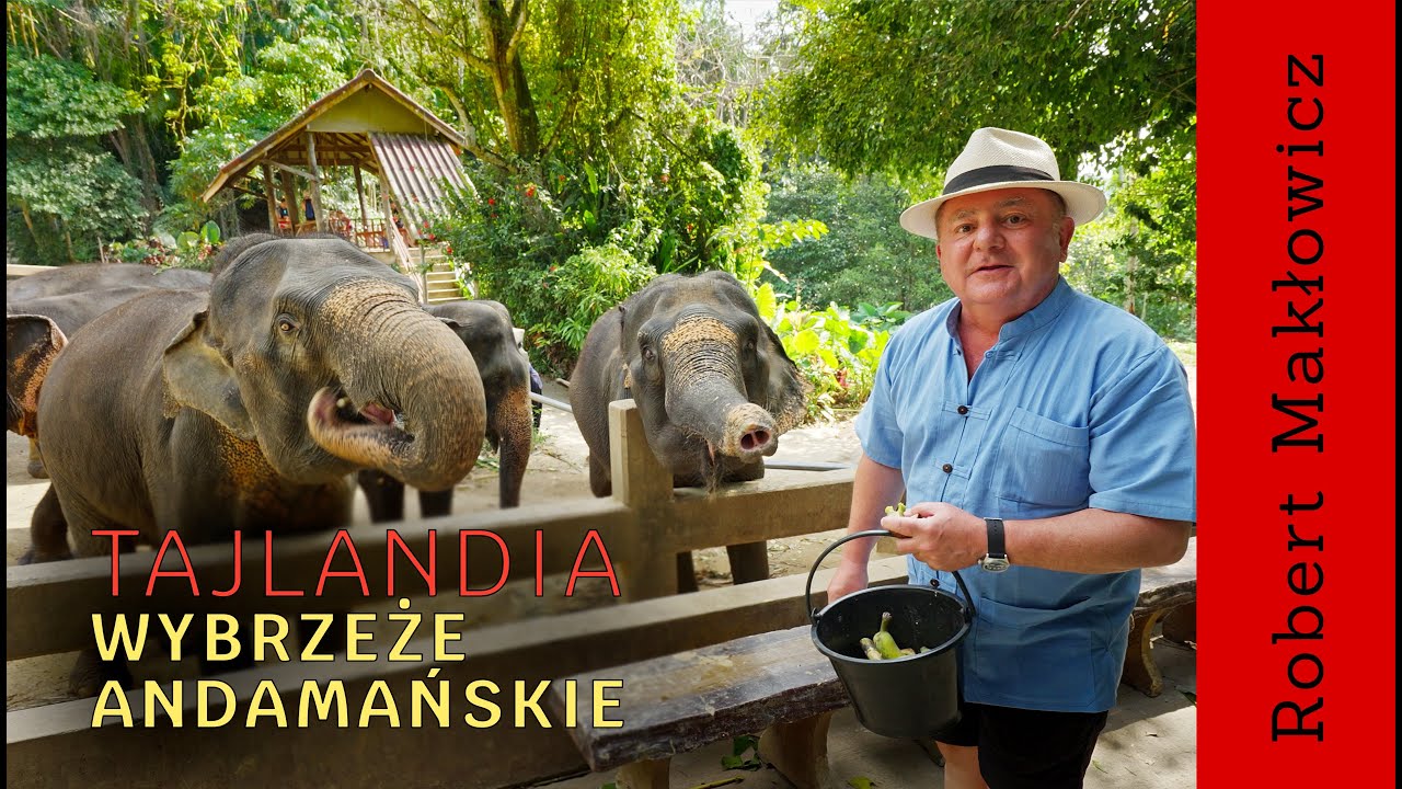 Maklowicz.pl – Robert Makłowicz, dziennikarz, youtuber, autor książek i ...