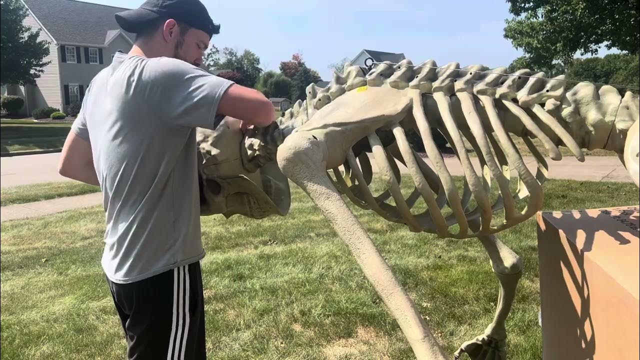Setting up our 12 foot skeleton - YouTube