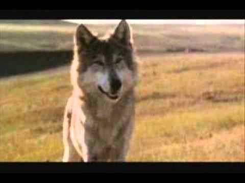 Two Socks theme - Dances with Wolves (piano solo) John Barry - YouTube