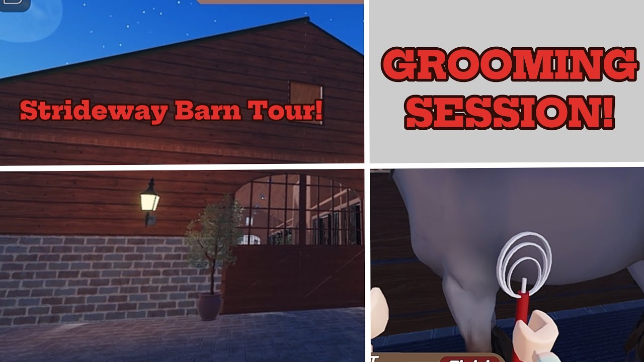 STRIDEWAY BARN TOUR + CRUSTY GROOMING SESSION! // *must watch* - YouTube